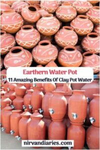 Earthen Water Pot - 11 Amazing Benefits Of Clay Pot Water